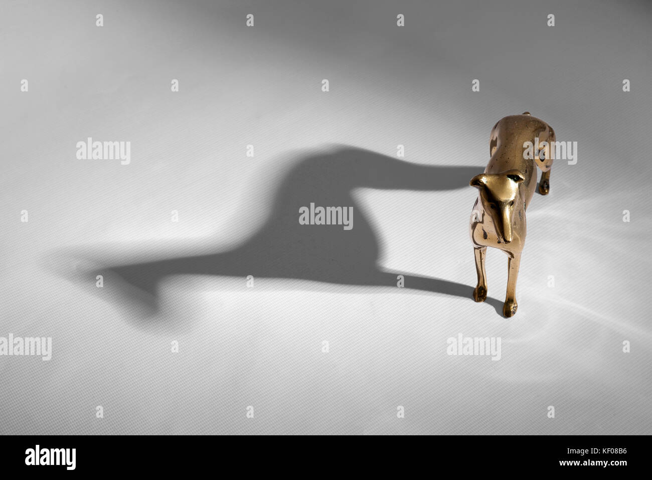 Elongated shadows shadow hi-res stock photography and images - Alamy