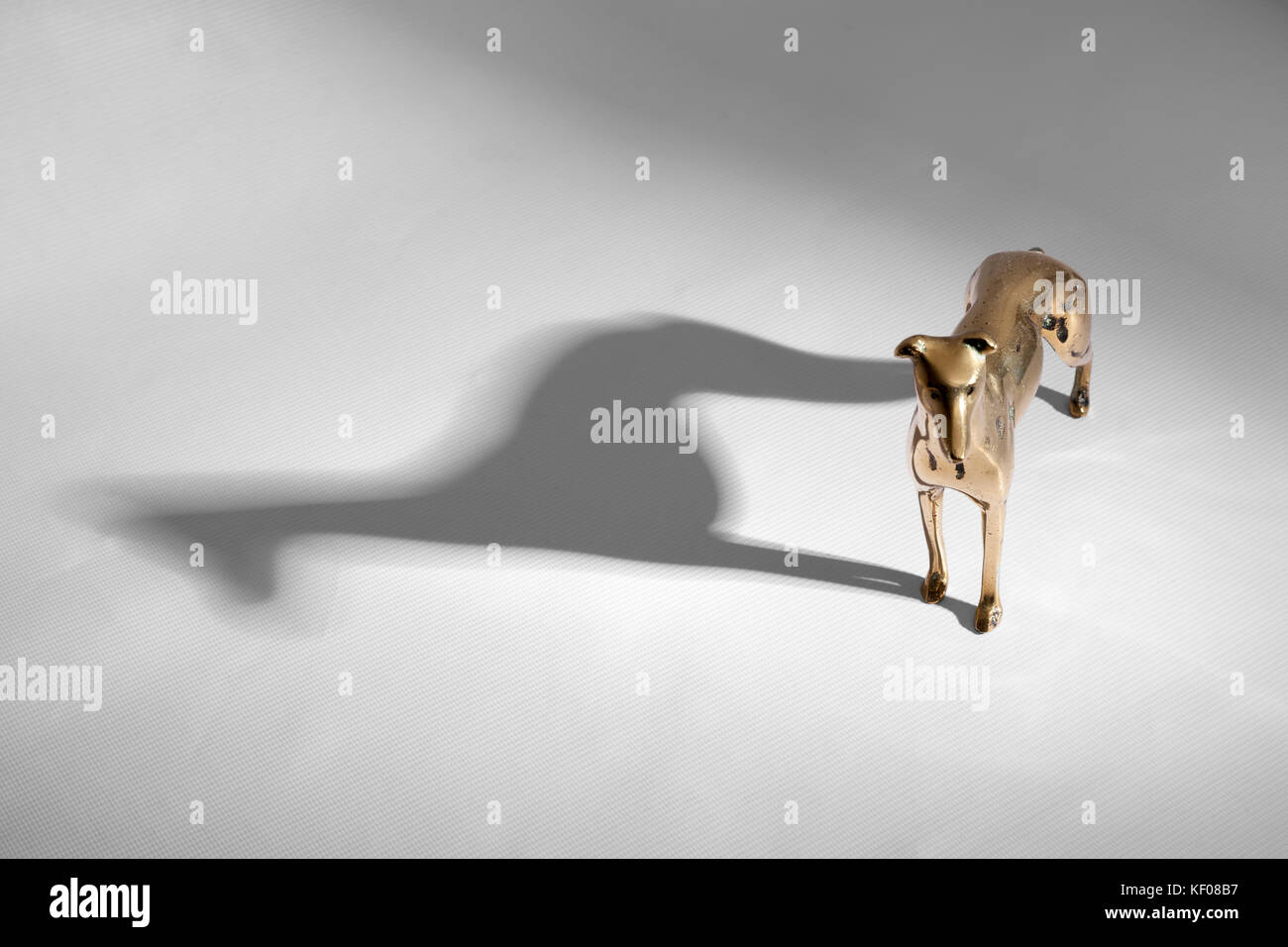 Elongated shadows shadow hi-res stock photography and images - Alamy