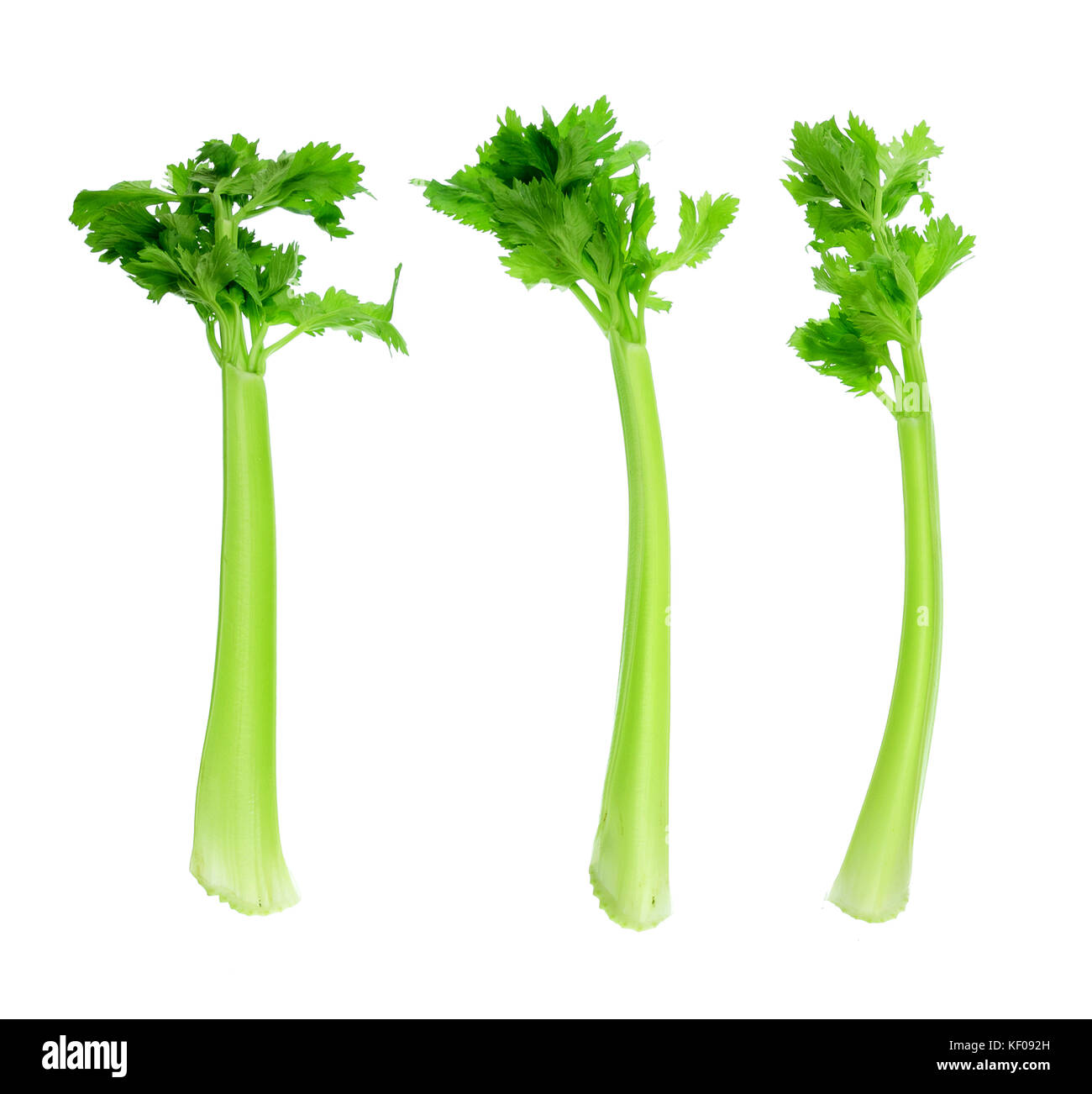 Celery on White Background Stock Photo - Alamy
