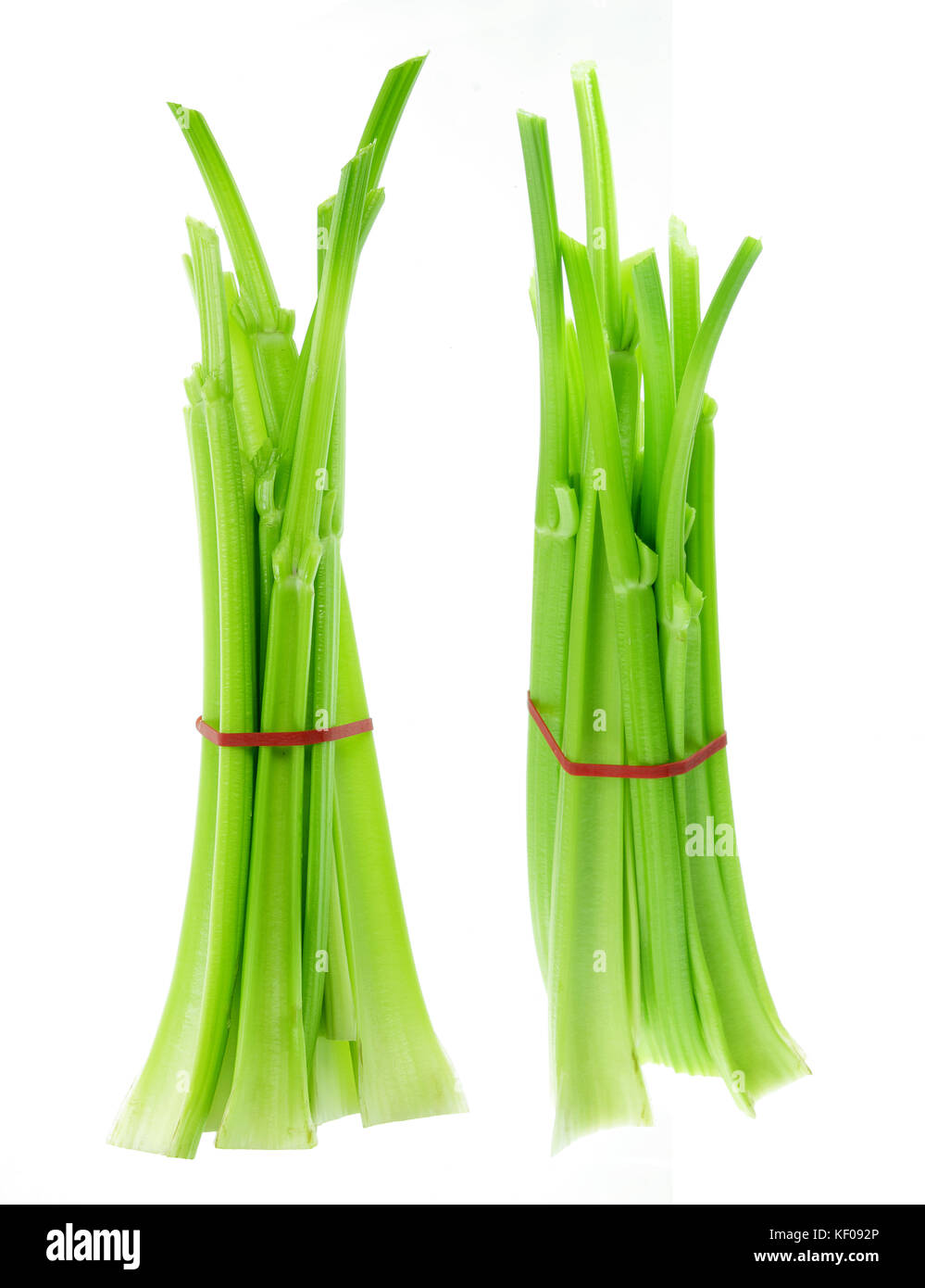 Bundles of Celery on White Background Stock Photo - Alamy