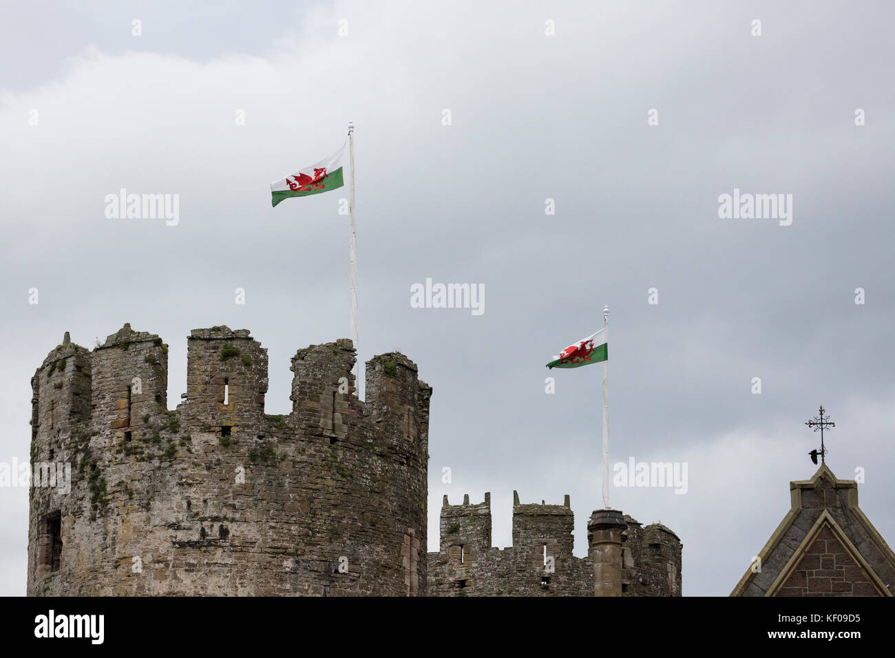 Conwy castle turrets Welsh flags flying in breeze Stock Photo - Alamy