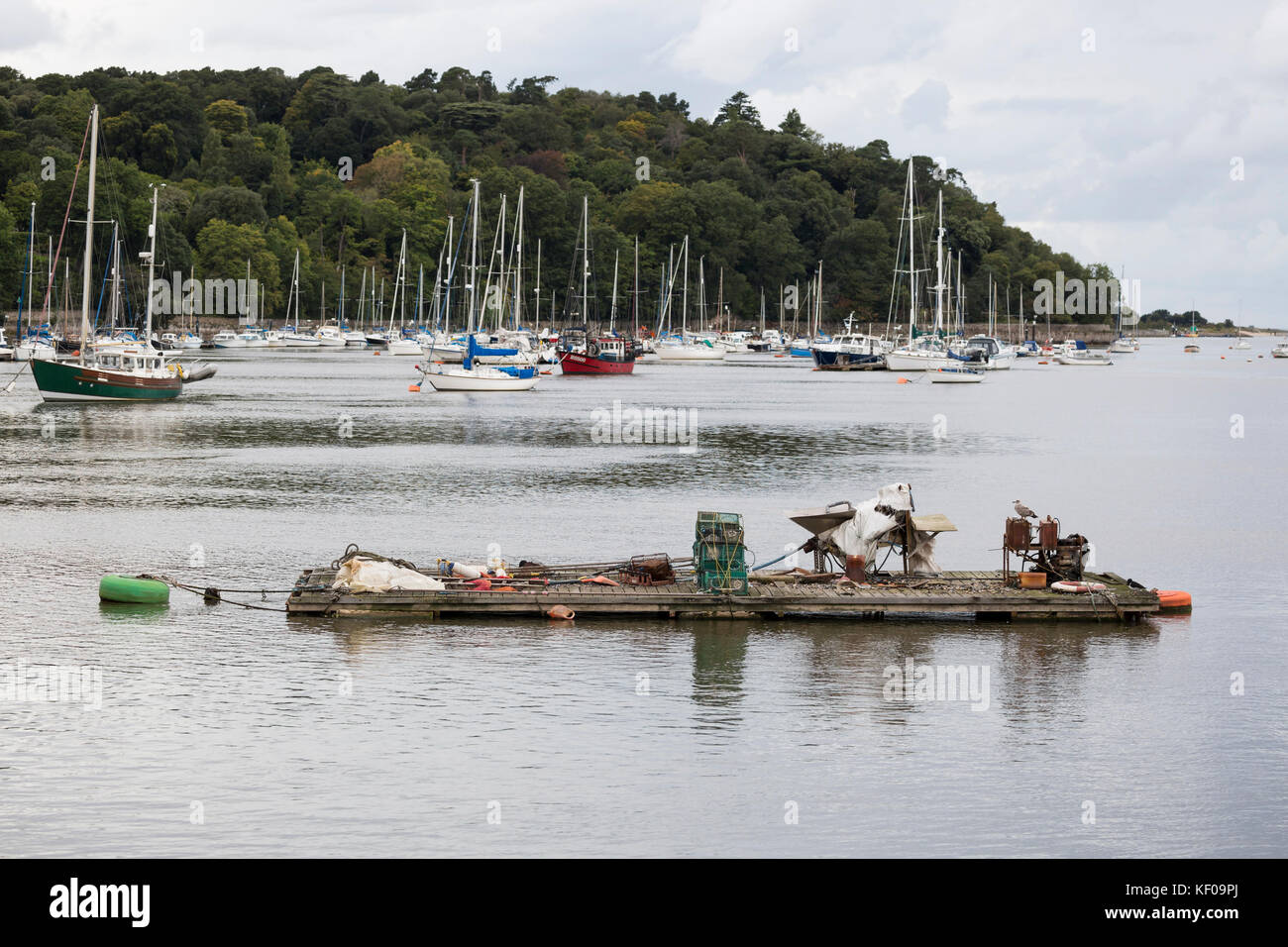 shellfish processing equipment on small barge, Conwy estuary Stock ...