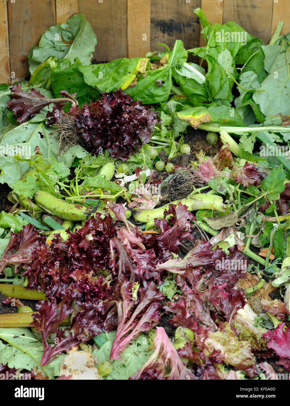 Home recycling using a garden compost heap with general garden waste ...