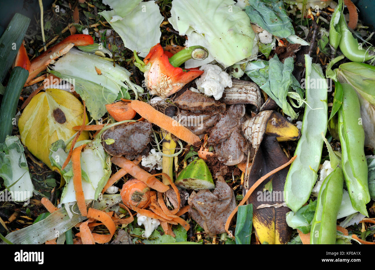 Recycling kitchen food waste inside a home compost bin including fruit ...