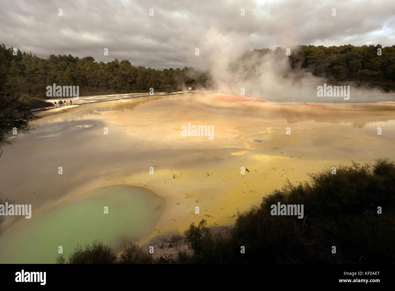 Champagne Pool Hot Springs Geothermal Stock Photos & Champagne Pool Hot ...