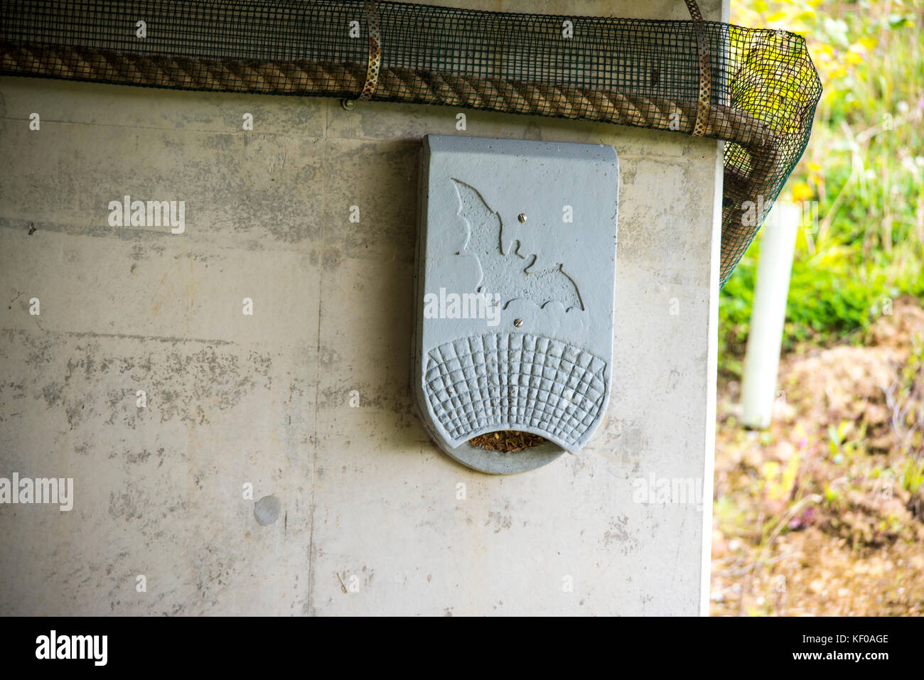 Combe Valley Bat Box and Vole Run. Supporting wildlife to cope with new ...