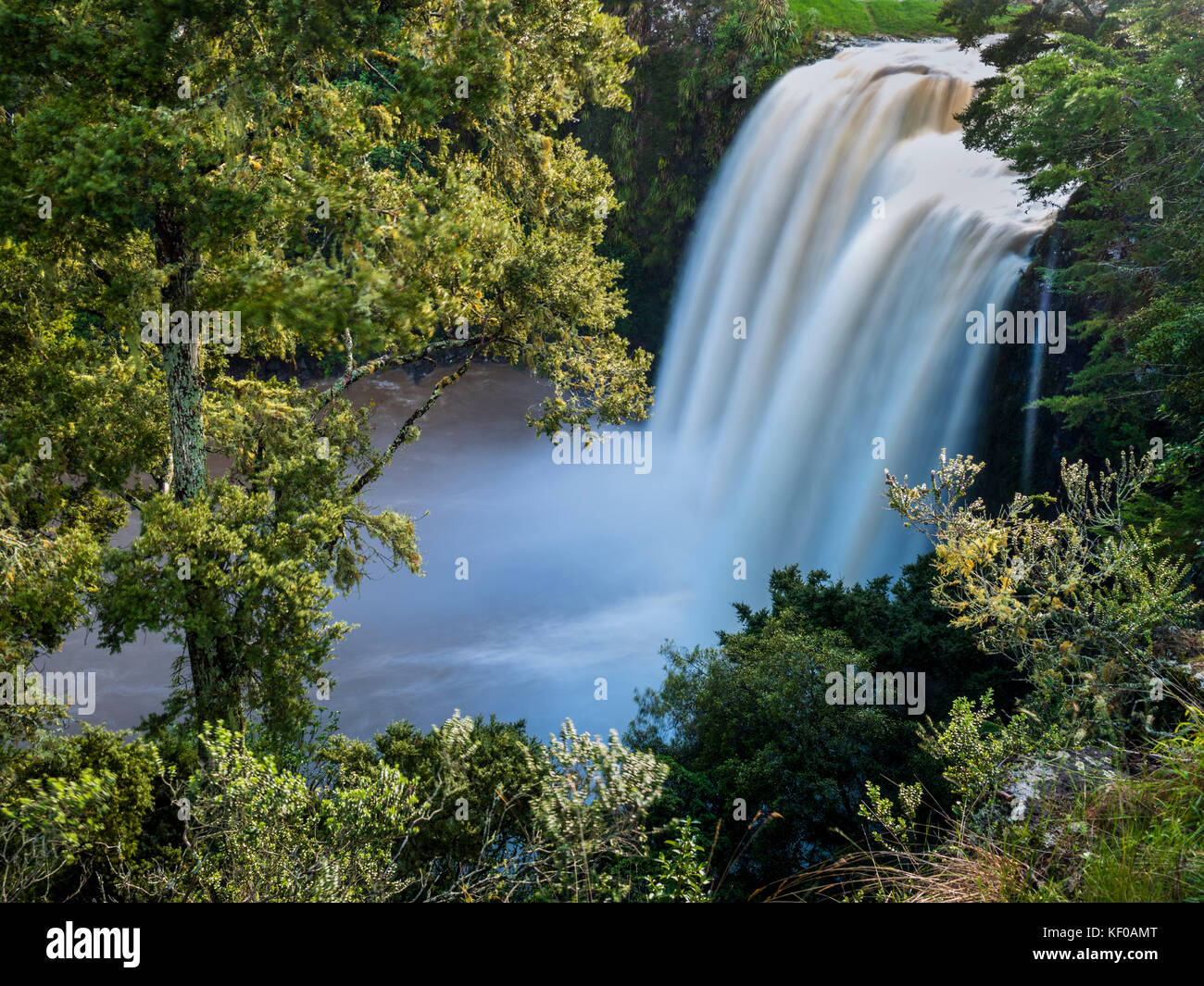 New Zealand, North Island, Whangarei Falls Stock Photo - Alamy