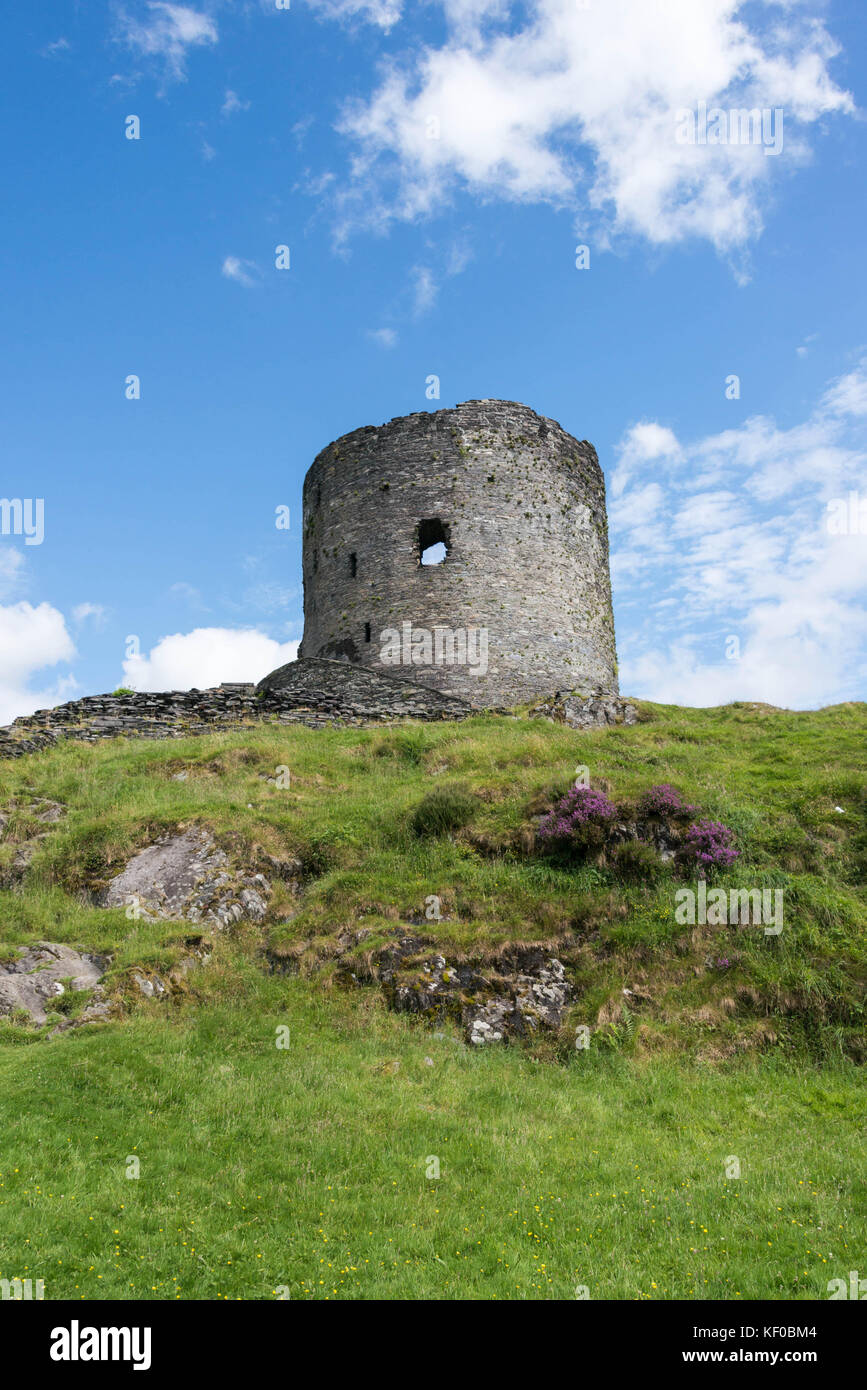 Dolbadarn Castle, a 13th century castle in Llanberis, North Wales Wales ...