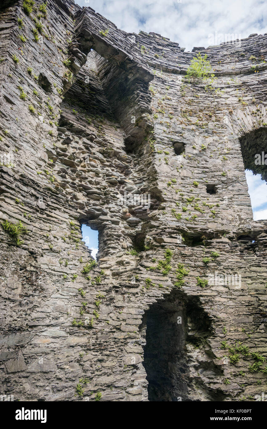 The interior of Dolbadarn Castle, a 13th century castle inLlanberis ...