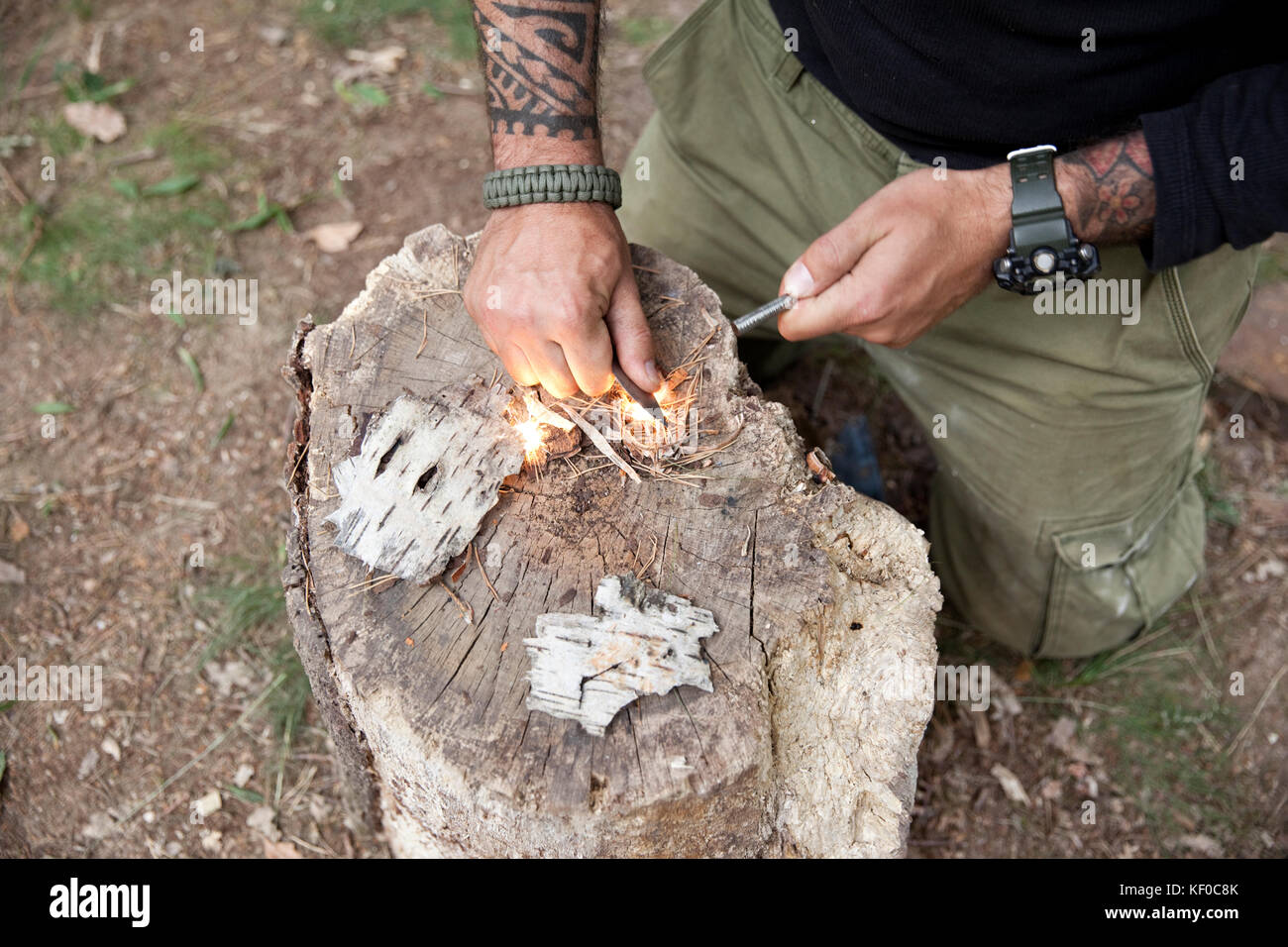 Man igniting a fire on tree stump in the forest Stock Photo - Alamy