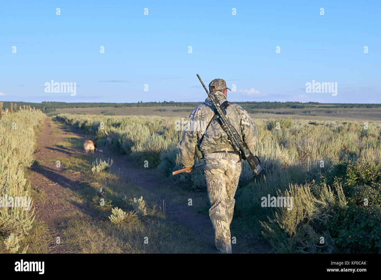 Rear view of hunter walking along dirt road with rifle on his back for ...