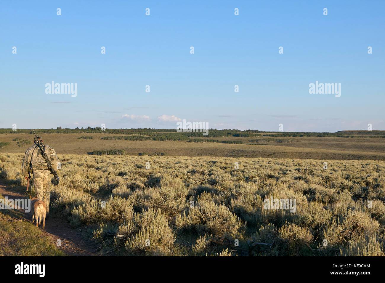 Hunter carrying rifle walking along dirt road through field with dog ...