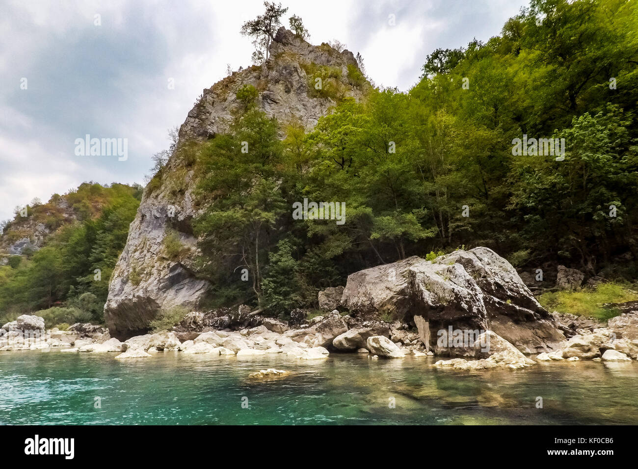 mountain river Tara in Montenegro Stock Photo - Alamy