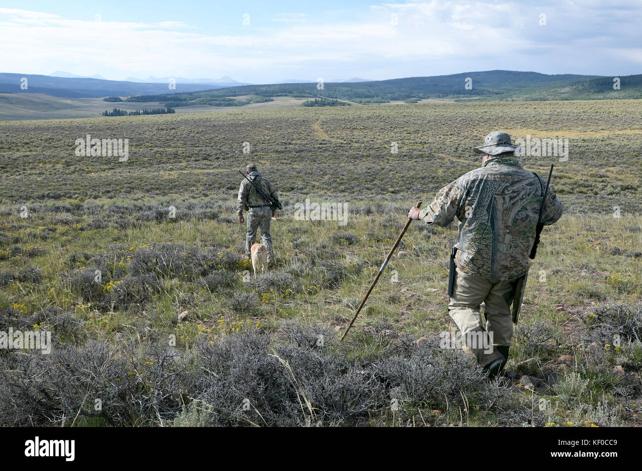 Two hunters with rifles slung on their shoulders, wearing camouflage ...