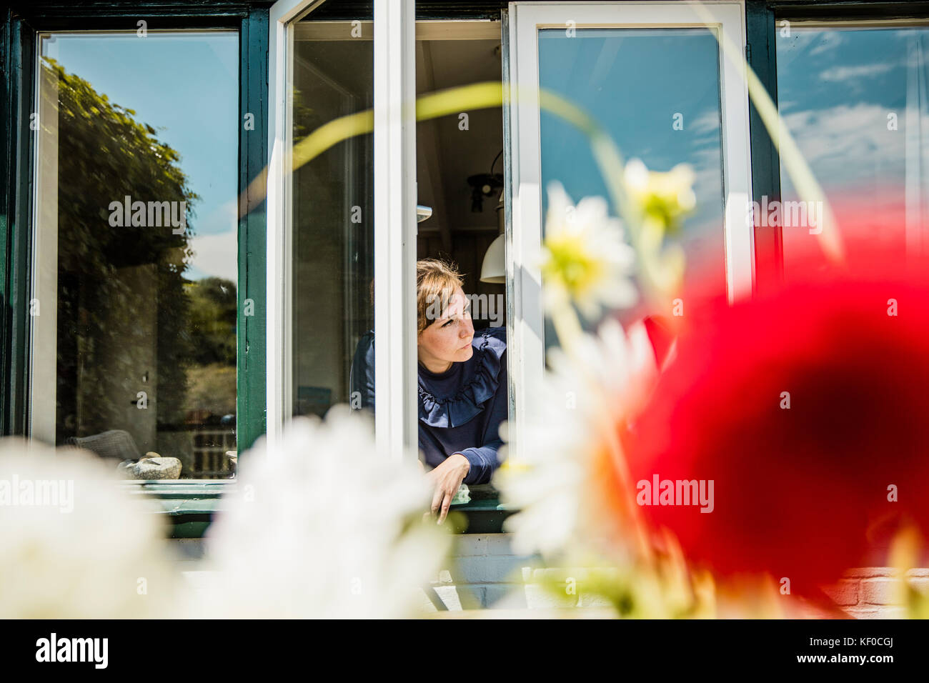 Window looking through window watching building exterior hi-res stock ...
