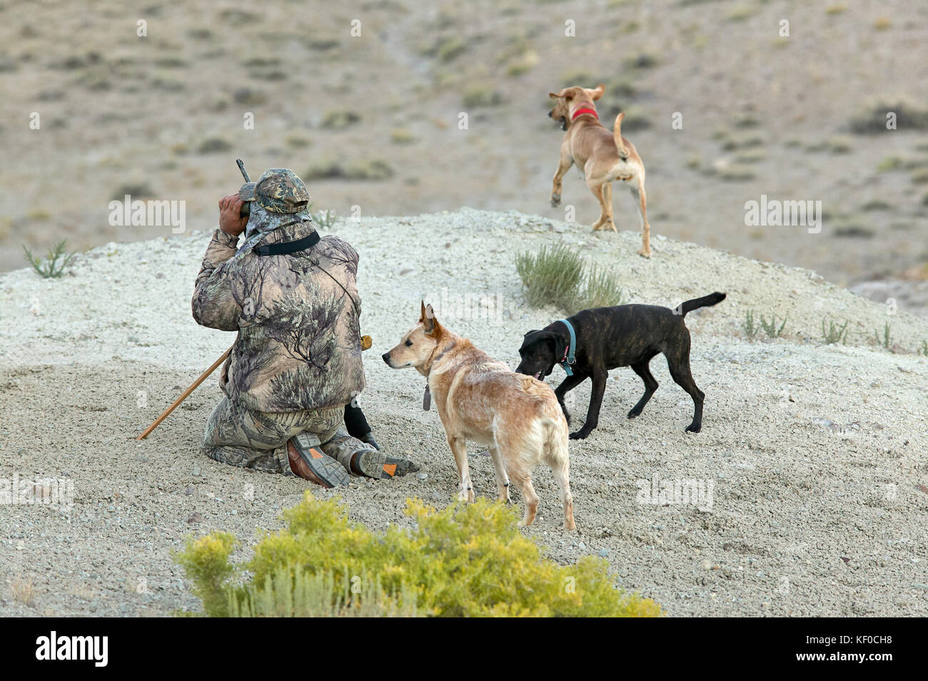 Tracking shoot hi-res stock photography and images - Alamy