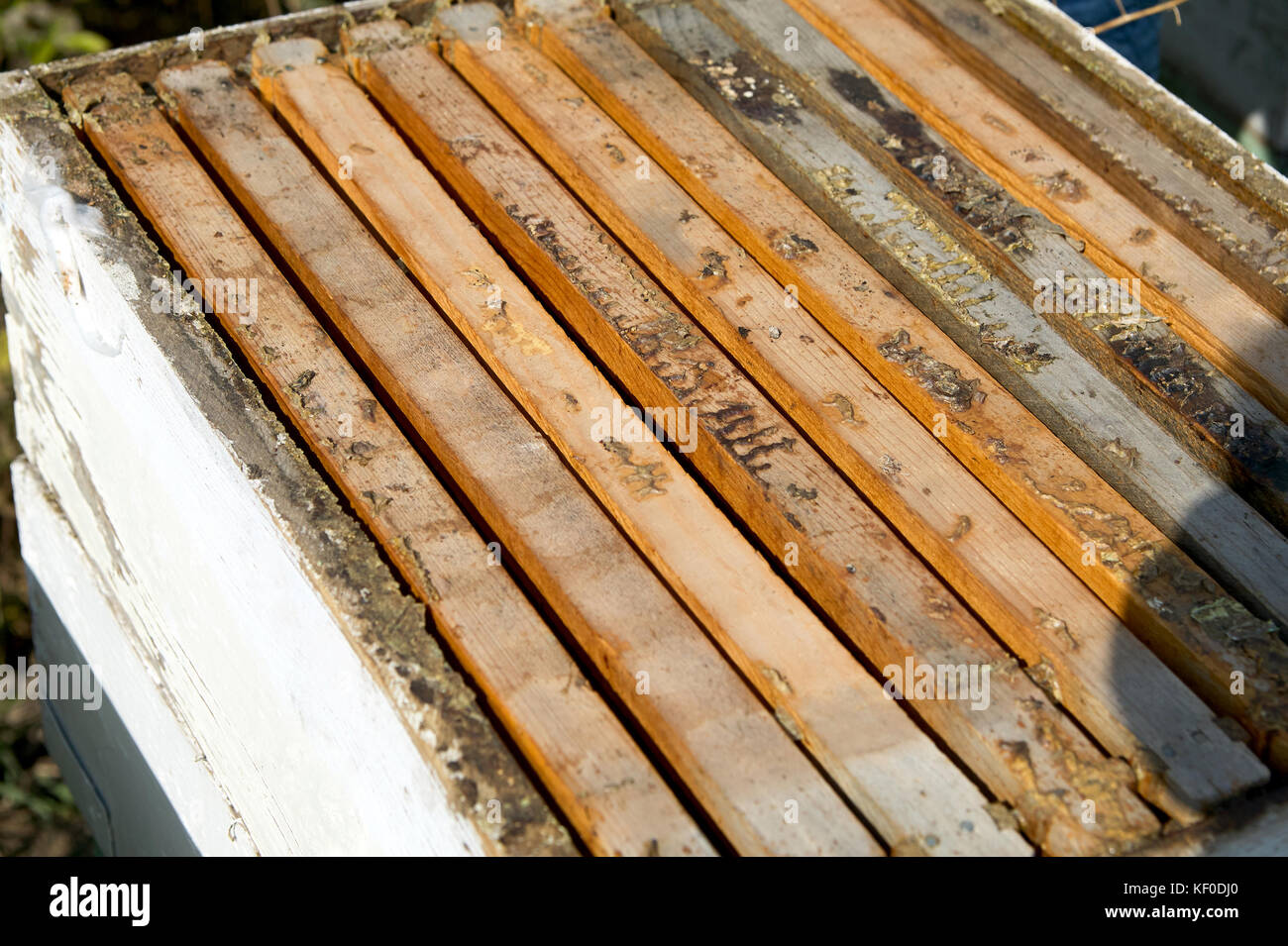 A close up of a honey bee farm bee-keeping box built from timber Stock ...