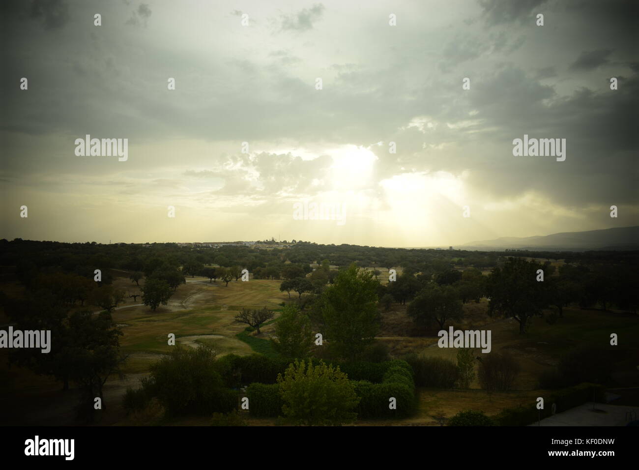 Spring dawn hi-res stock photography and images - Alamy