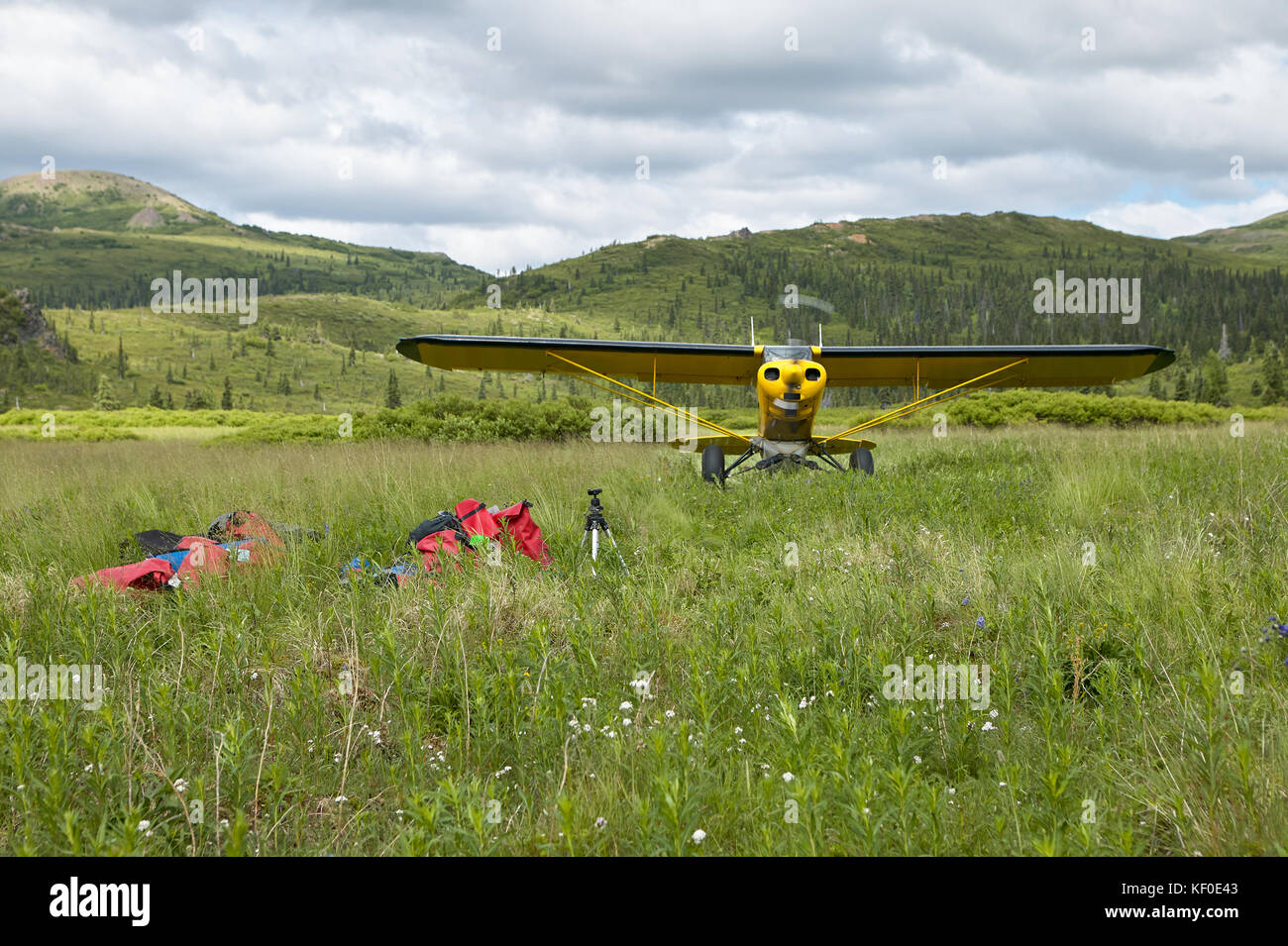 Two people filming the takeoff of a small yellow airplane with a wide ...