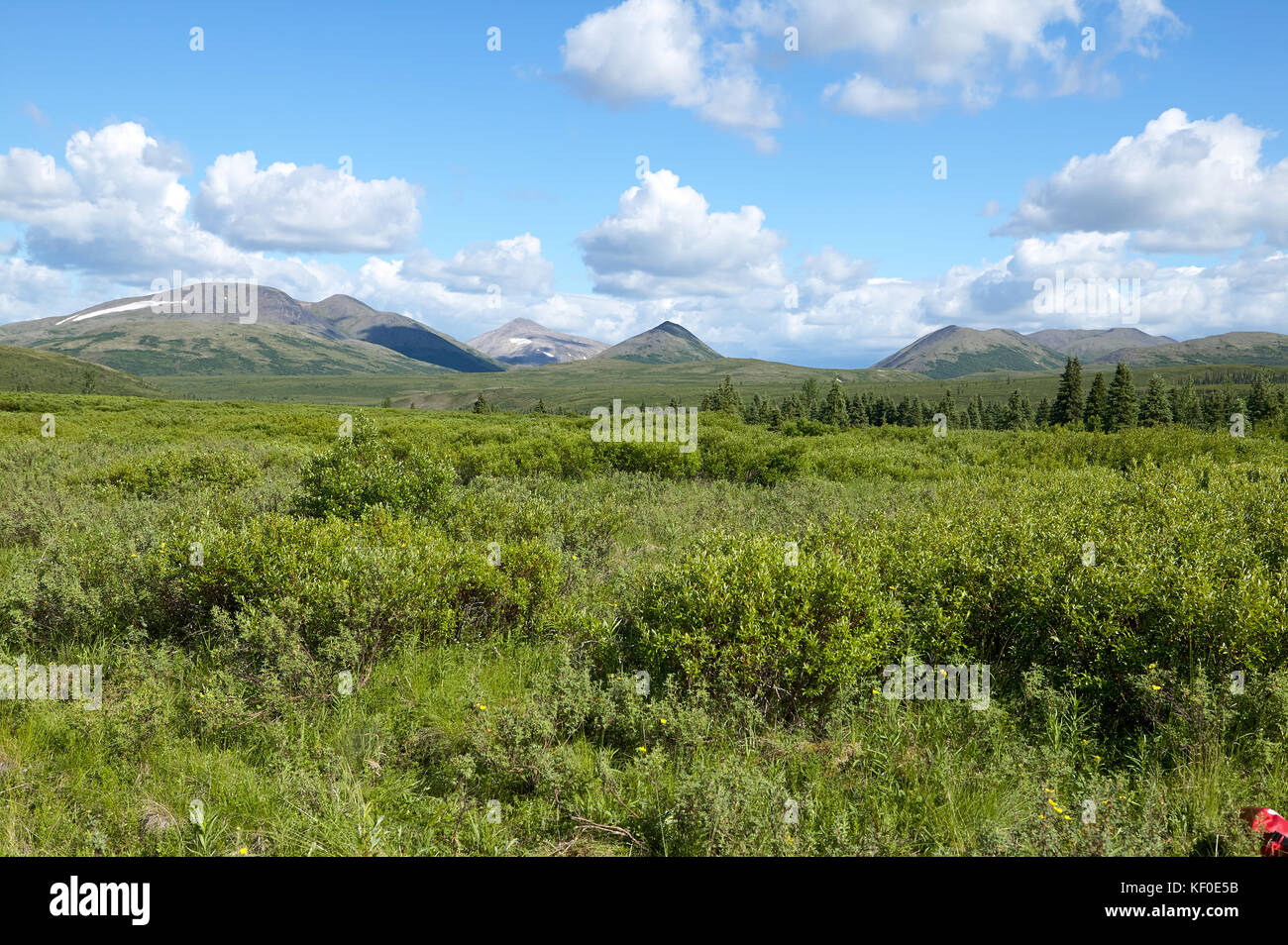 A beautiful, scenic landscape with distant, alaskan mountains and a ...