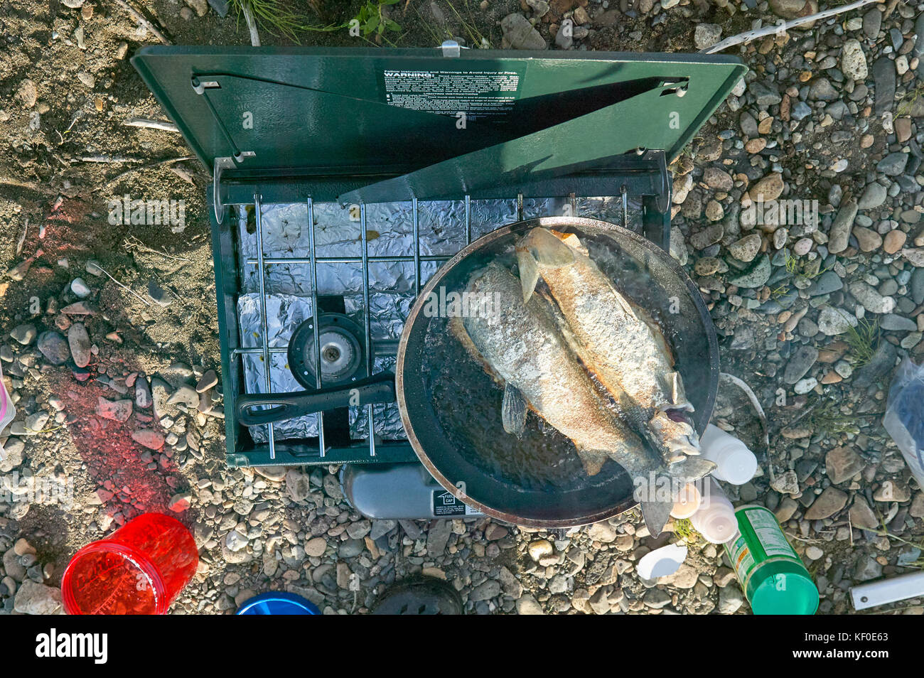 A gas camp stove and two whole, seasoned fish cooking in a fry pan at a ...