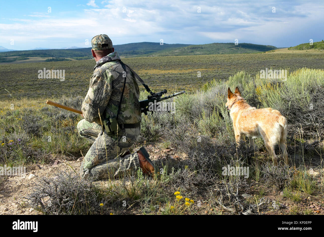 Semi kneeling hi-res stock photography and images - Alamy