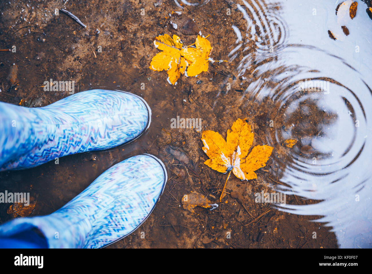 woman legs walking in puddle in rubber boots Stock Photo - Alamy
