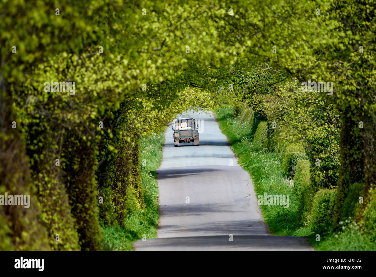 A farm Land Rover travelling down a country road, Tetchill, Ellesmere ...