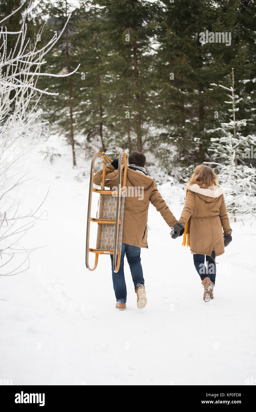 Back view of young couple with sledge in winter forest Stock Photo - Alamy