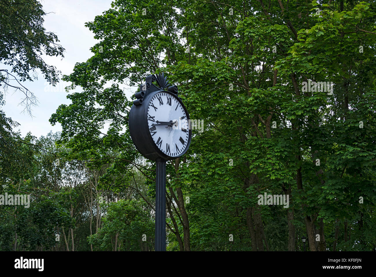 The dial of a large clock in a city park against a background of green ...