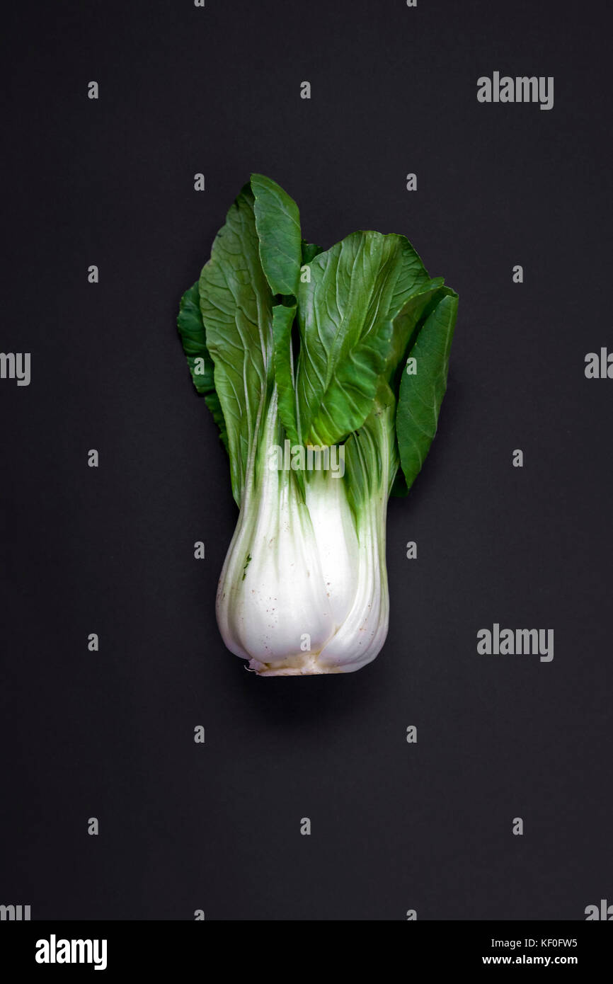 Pak choi on black background Stock Photo - Alamy