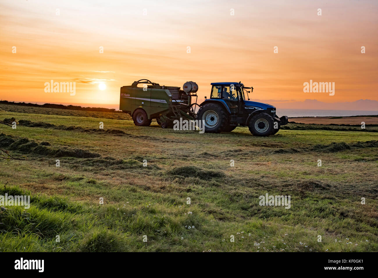 Big baling grass silage at sunset, Ynys Barry, Porthgain, Pembrokeshire ...