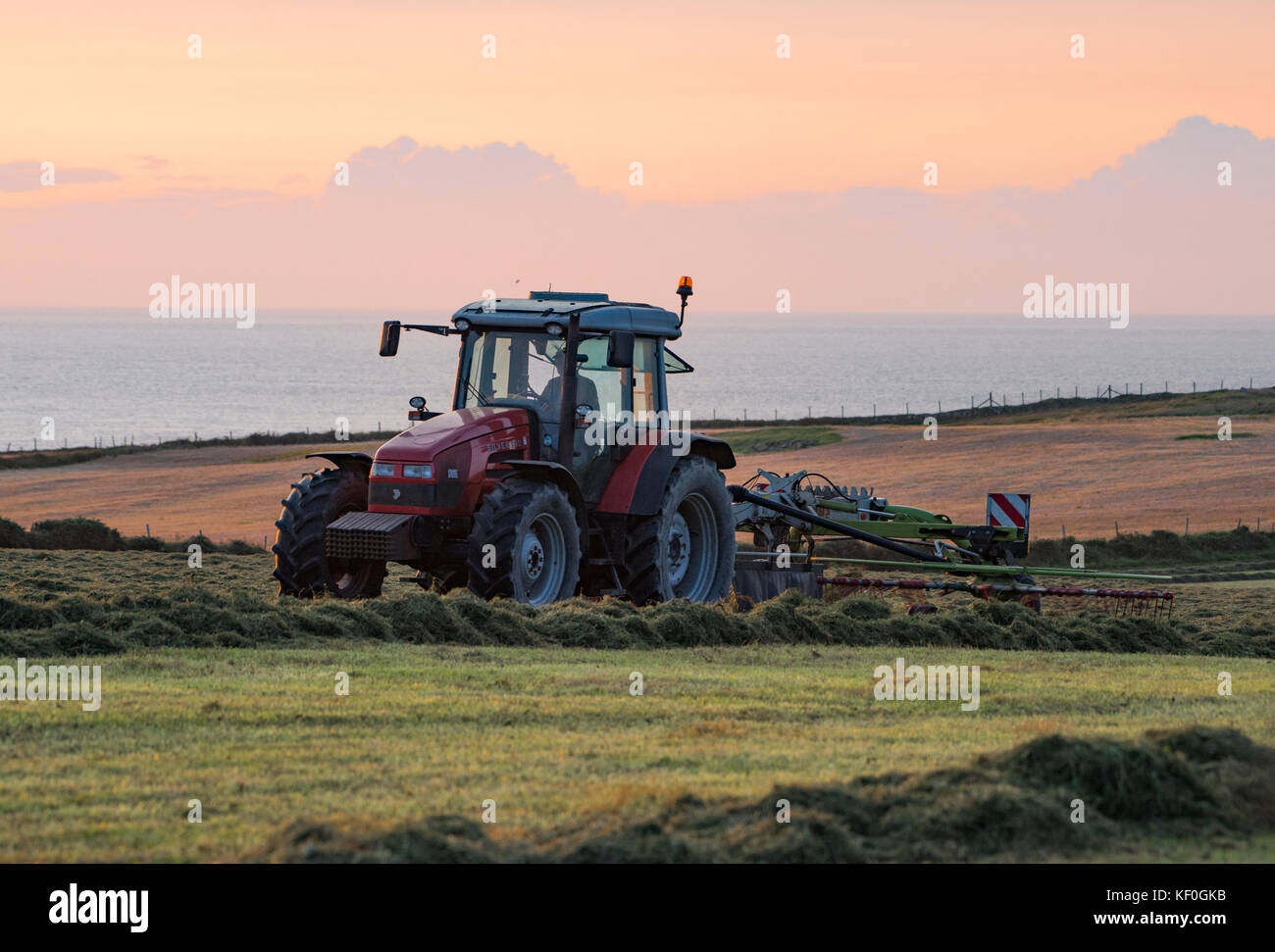 Raking grass ready for baling silage at sunset, Ynys Barry, Porthgain ...