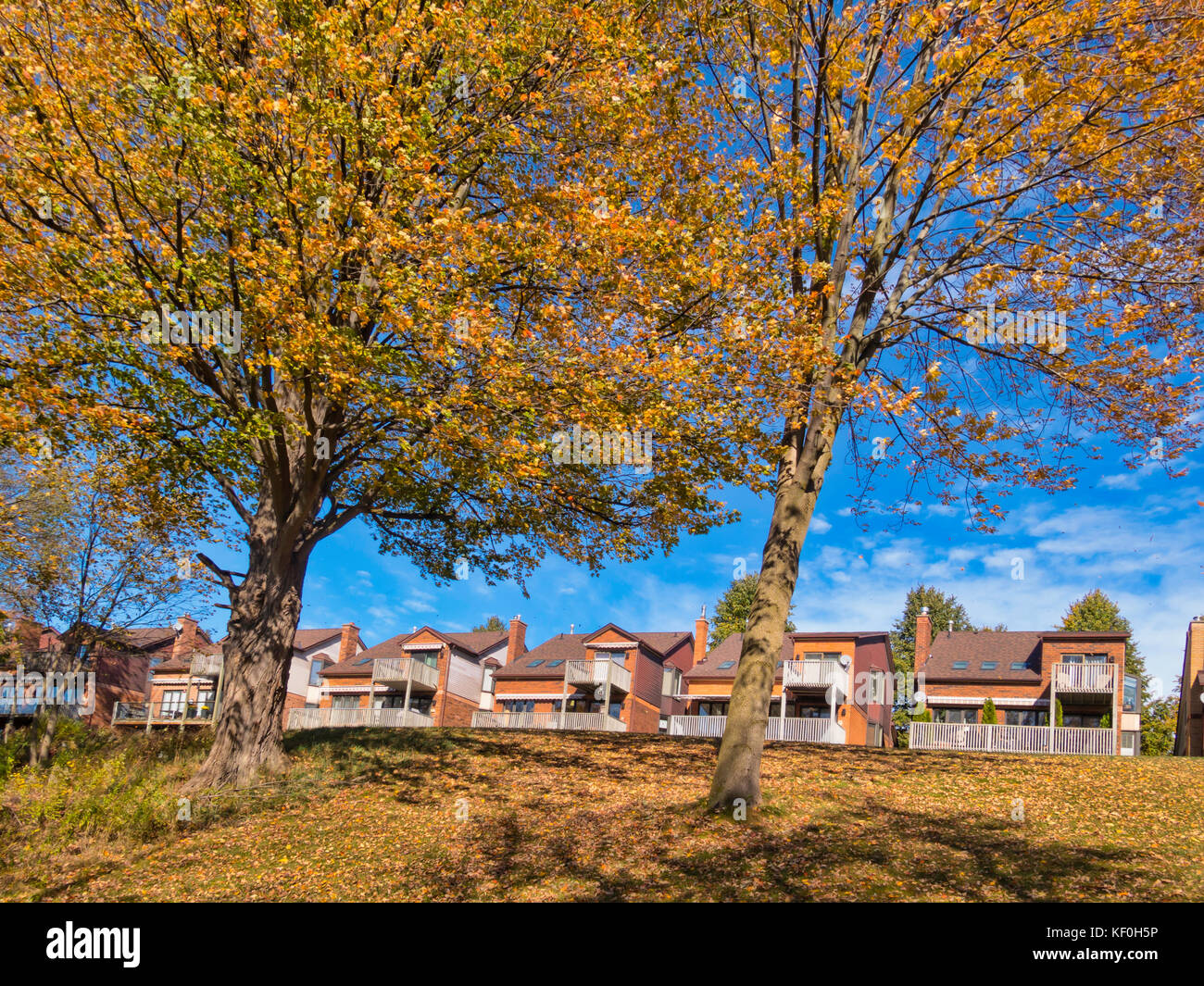 Construction subdivision canada hi-res stock photography and images - Alamy