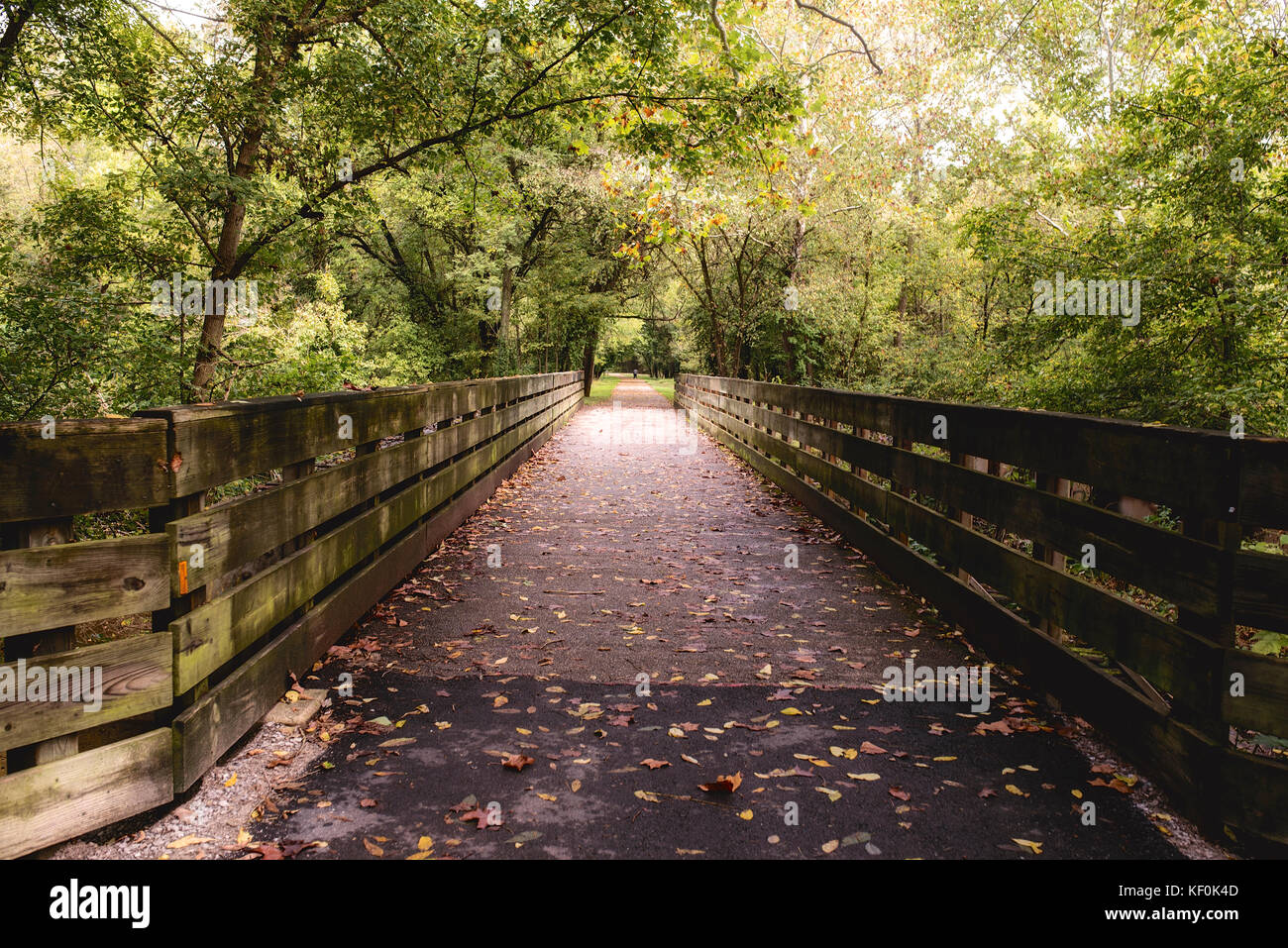 Spooky Country Bridge Stock Photo - Alamy