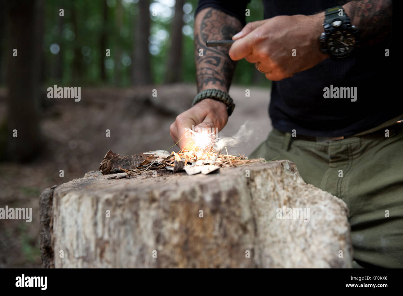 Man igniting a fire on tree stump in the forest Stock Photo - Alamy