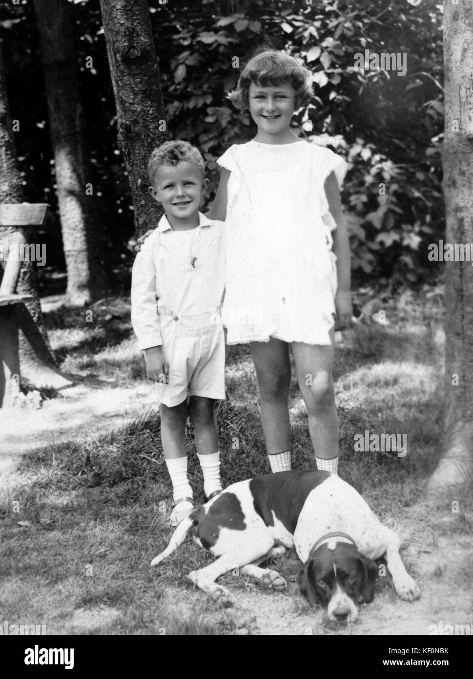 Animal set portrait in Black and White Stock Photos & Images - Alamy