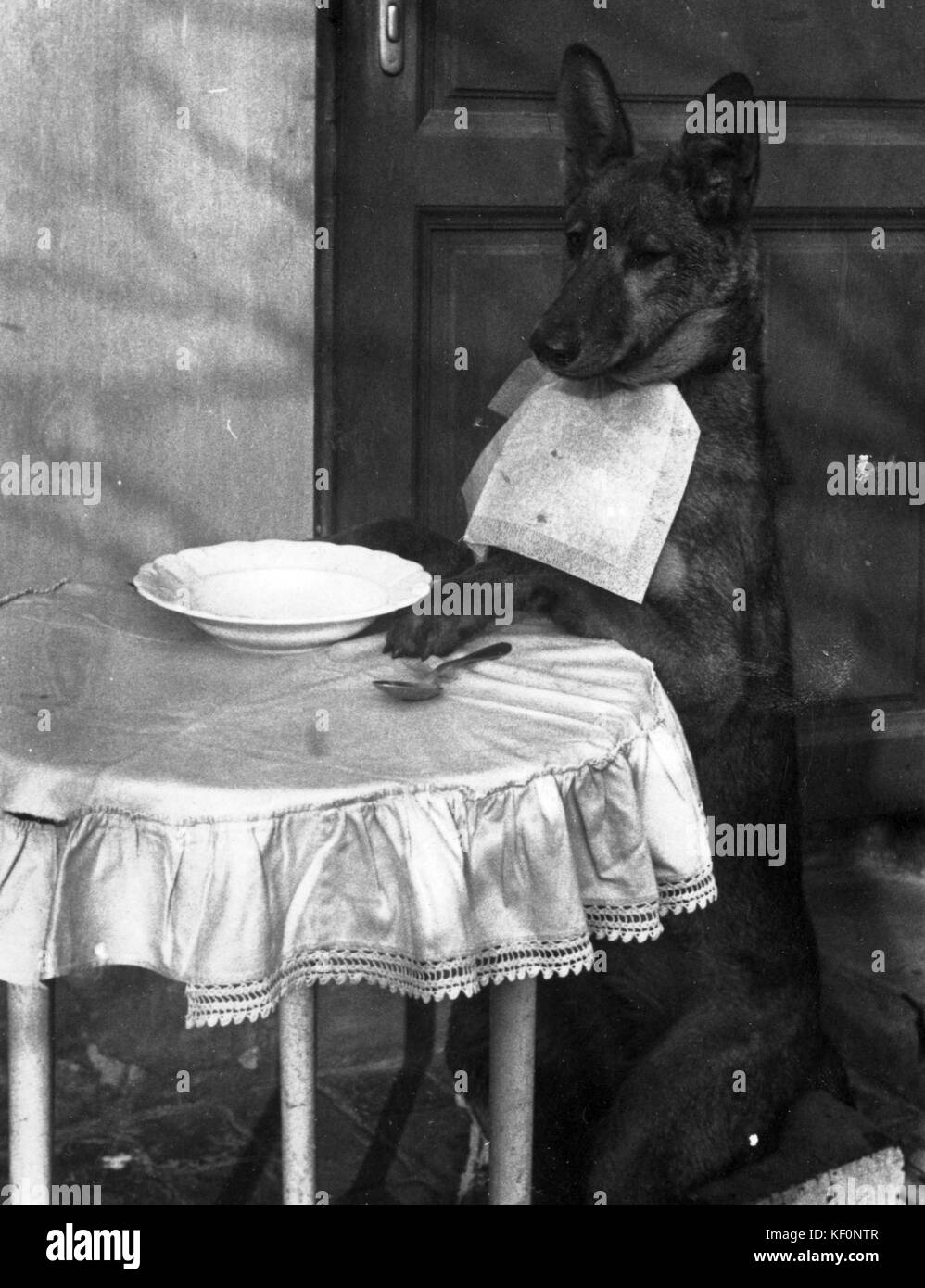 Meal place setting Black and White Stock Photos & Images - Alamy