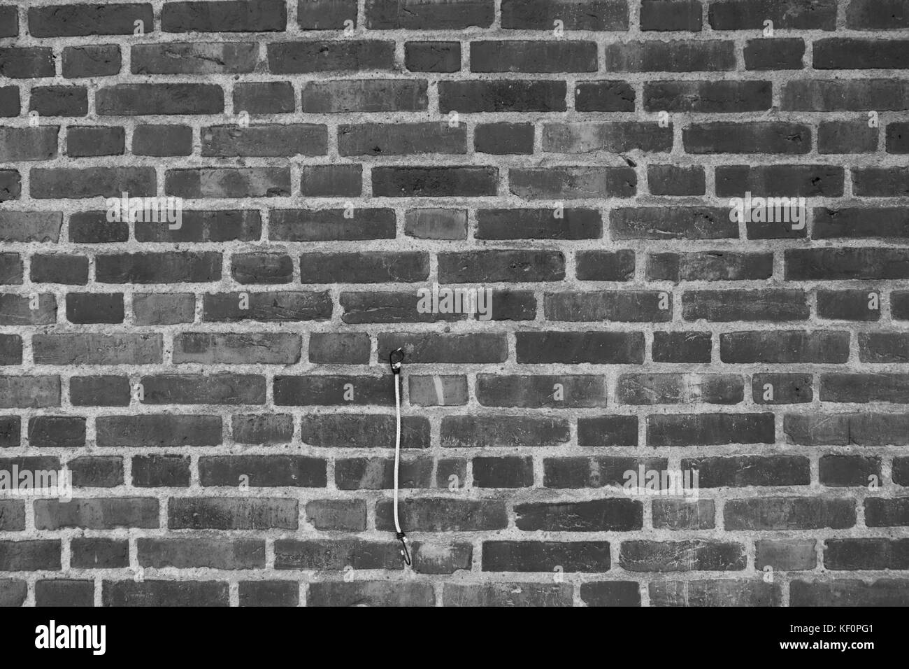 Bungee cord hi-res stock photography and images - Alamy