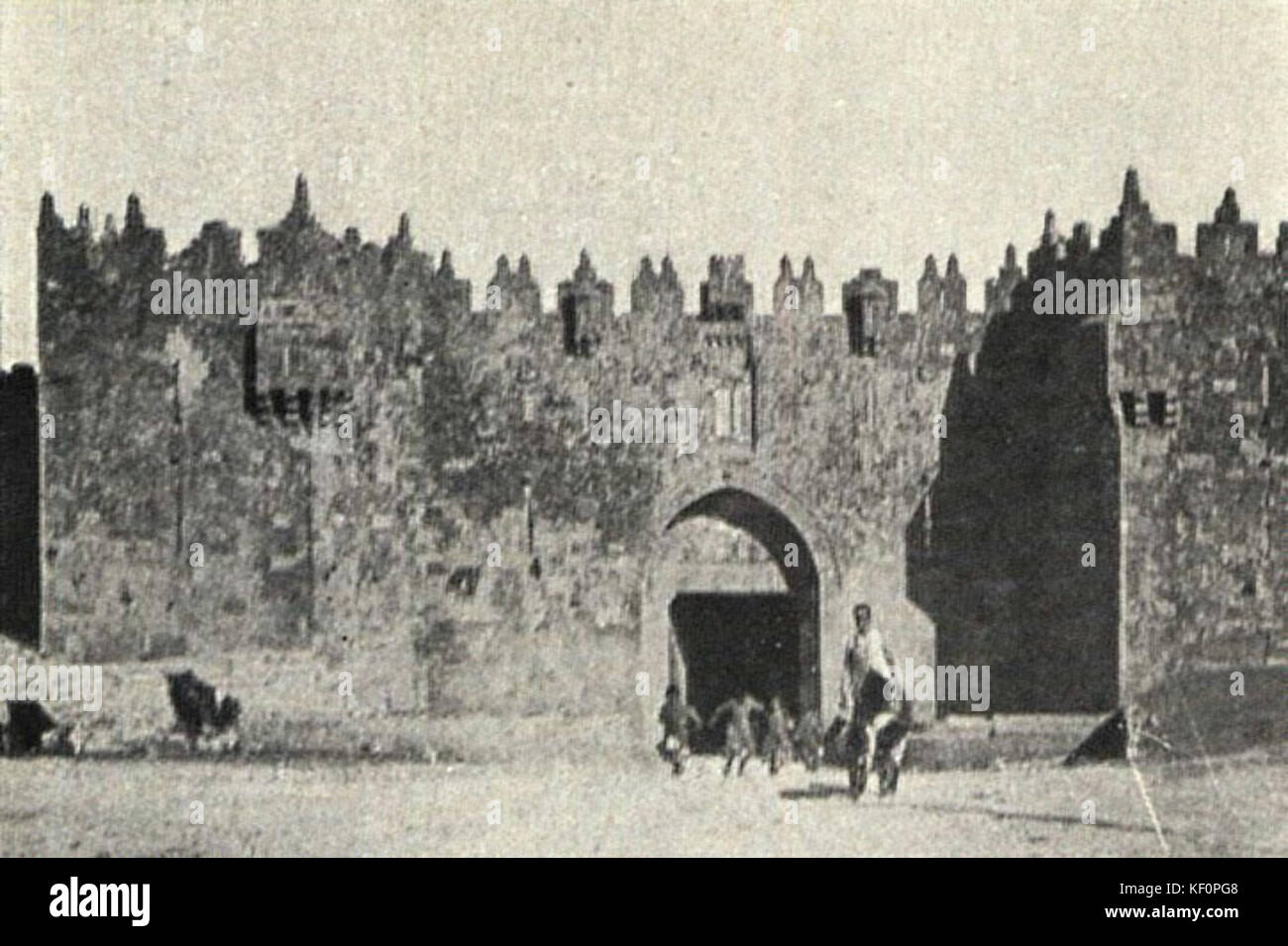 Jerusalem Ugglan 3 Stock Photo - Alamy