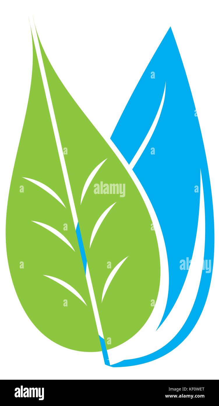 Leaf and water drop Stock Vector Image & Art - Alamy