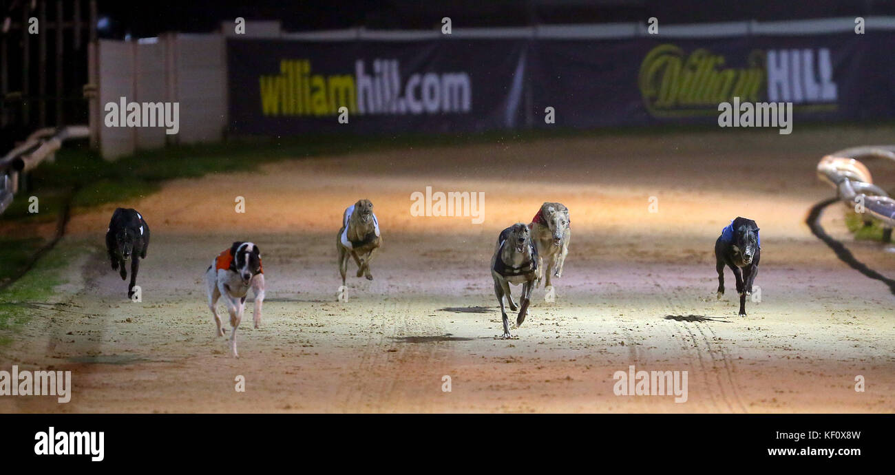 Droopys Zephyr (centre) wins the Northern Puppy Derby Final Race 9 ...