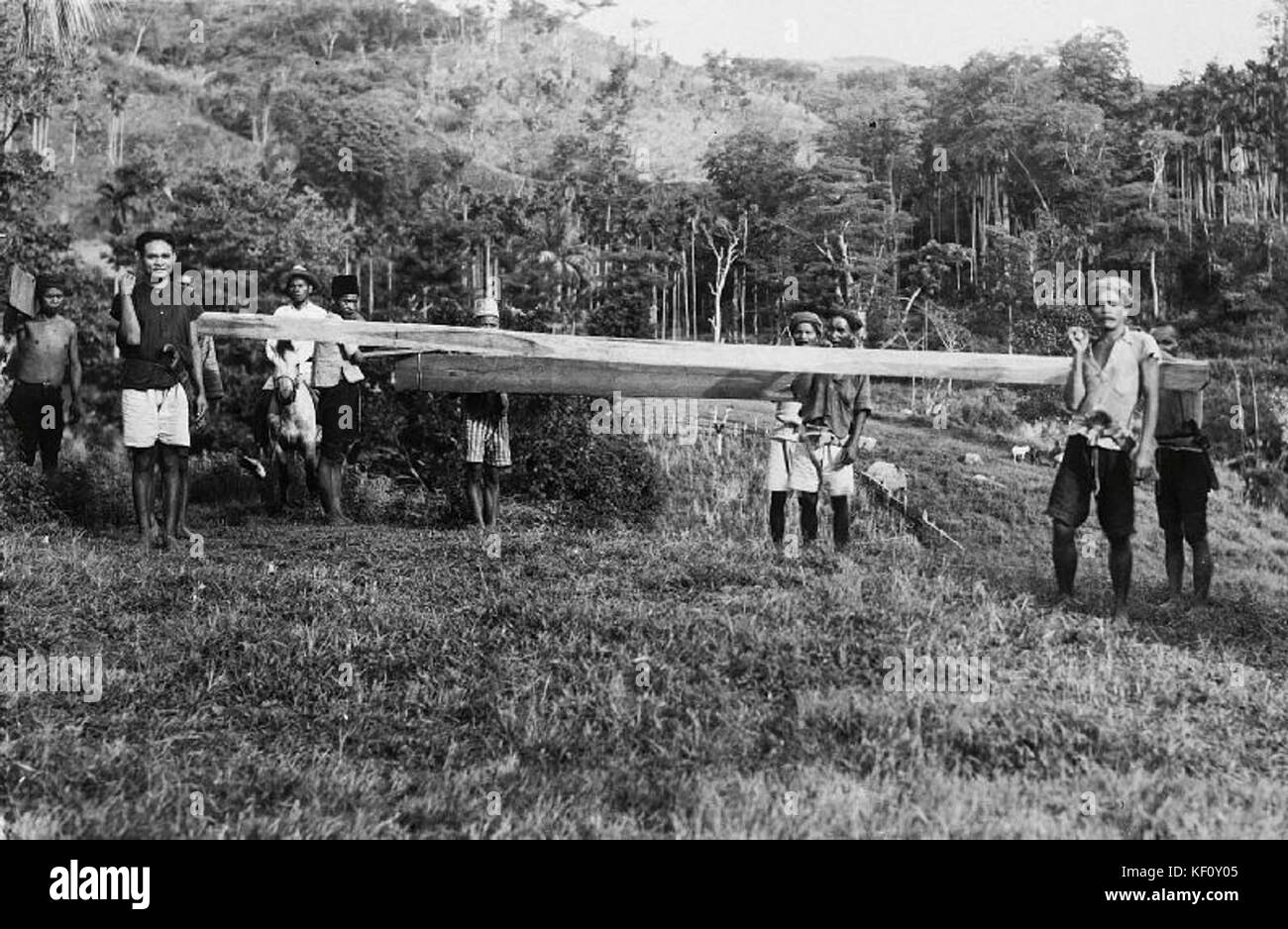 Men carrying timber from the sawmill in the forest for the constr ...