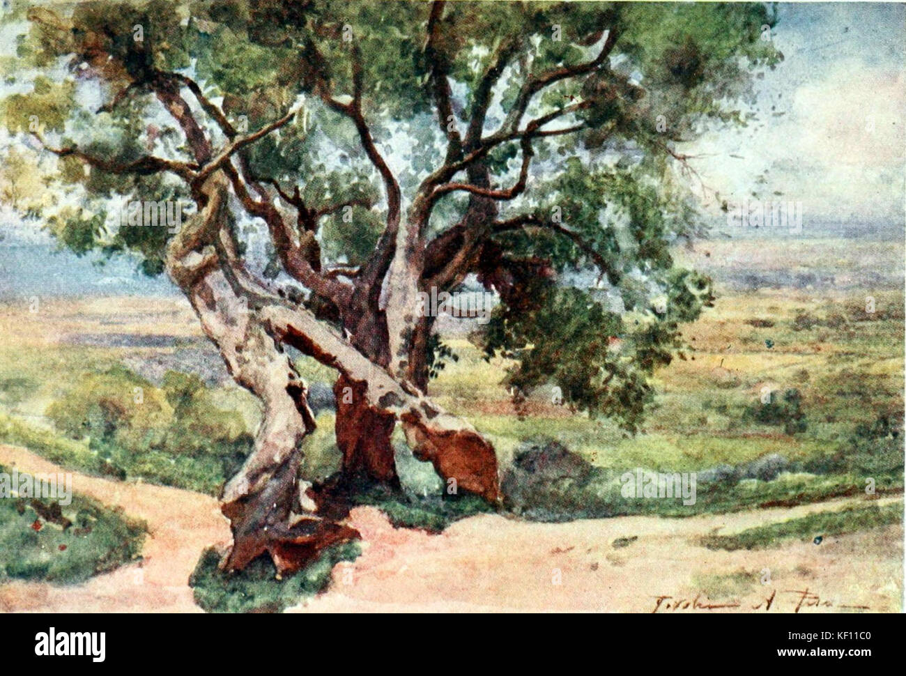 Italy by Frank Fox (24 Stock Photo - Alamy