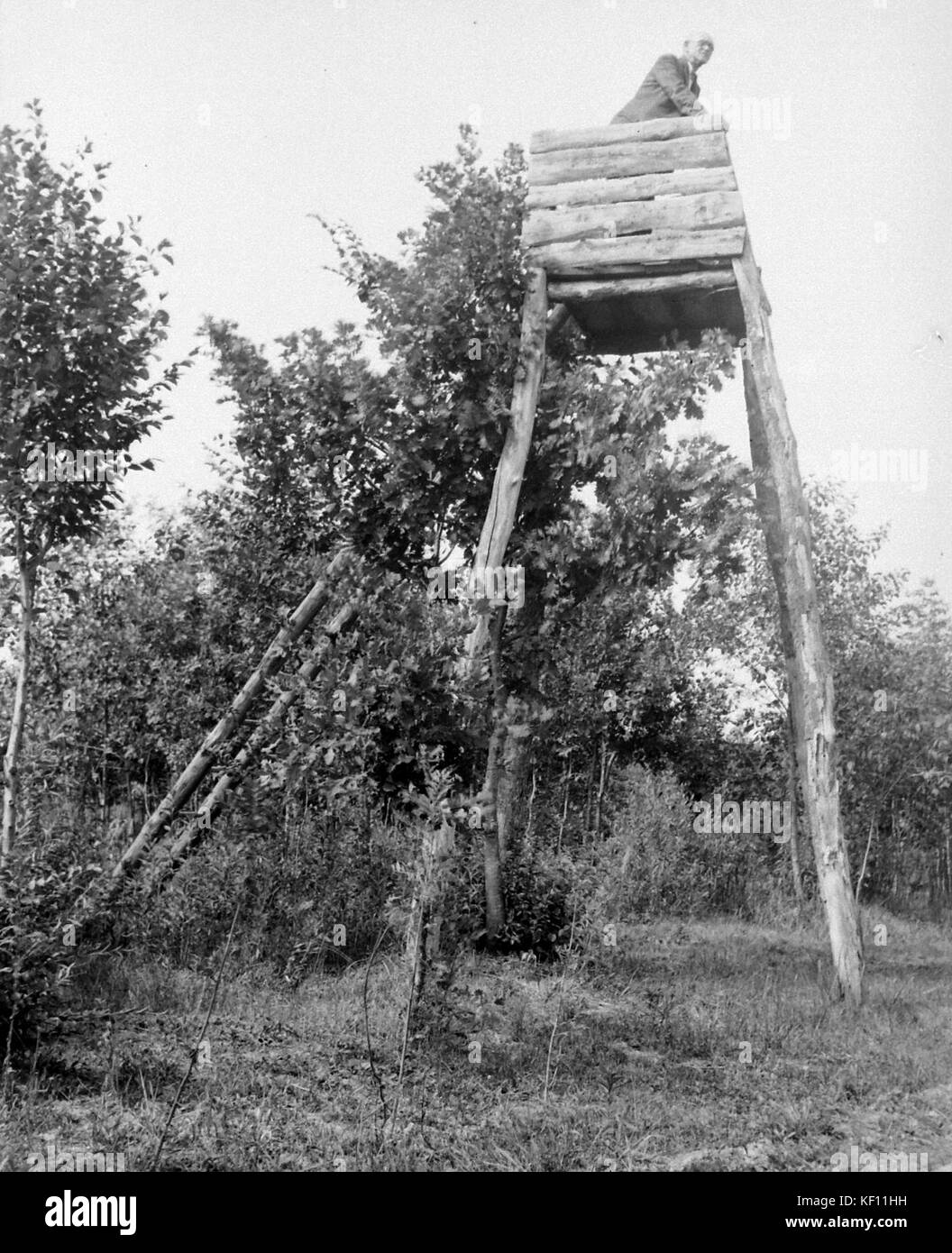 High stand, woods, man 4638 Stock Photo - Alamy