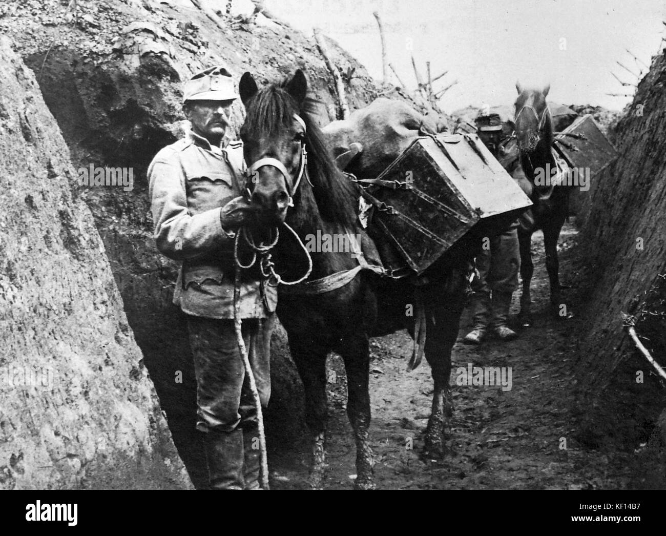 Horse, First World War, uniform, men, trench 11812 Stock Photo - Alamy