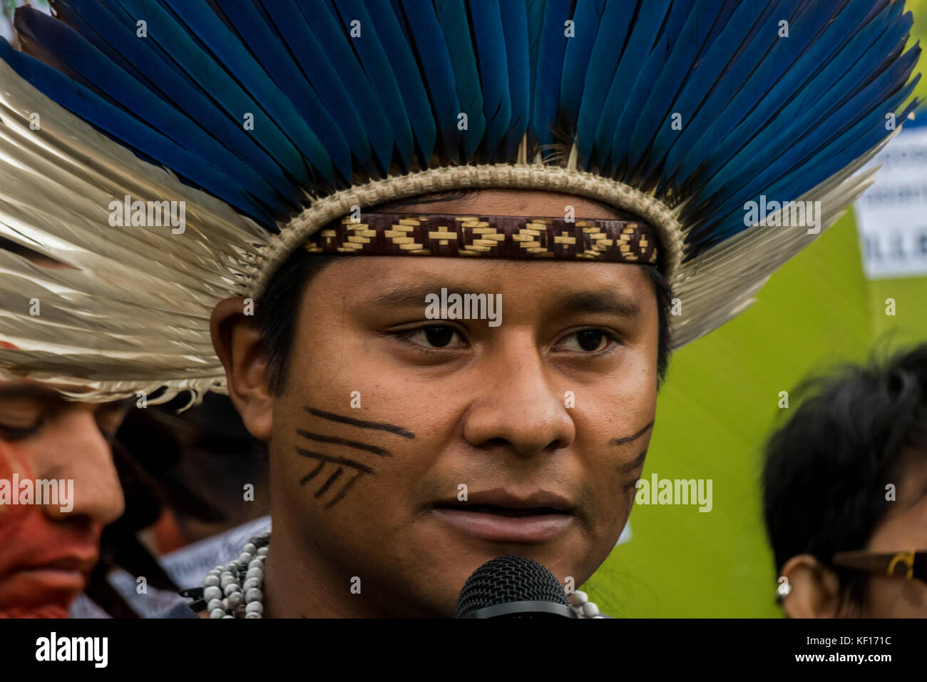 Palm oil indigenous land indonesia hi-res stock photography and images ...