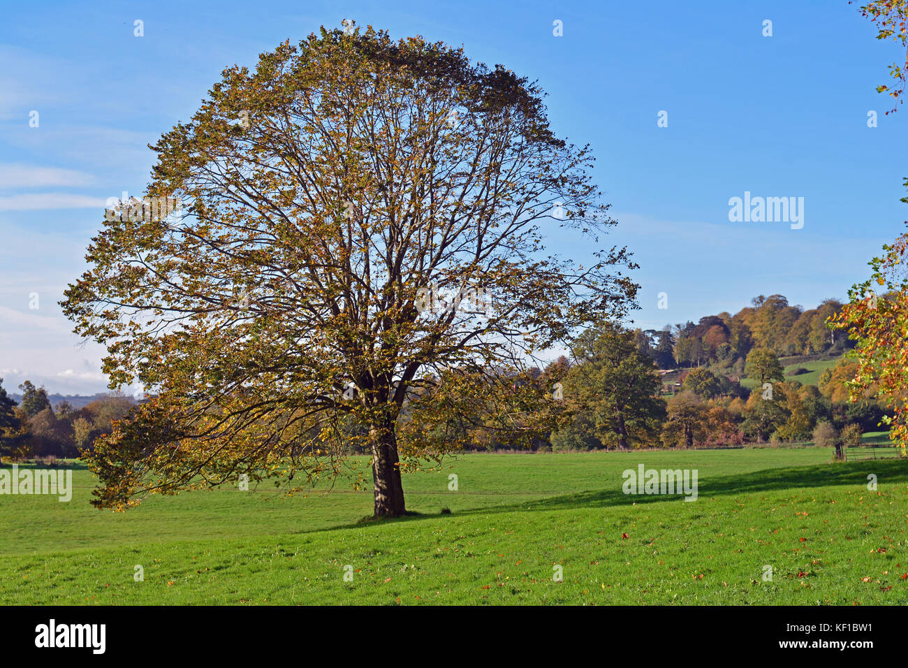 Bristol, UK. 25th Oct, 2017. UK Weather. On a mild and windless autumn ...