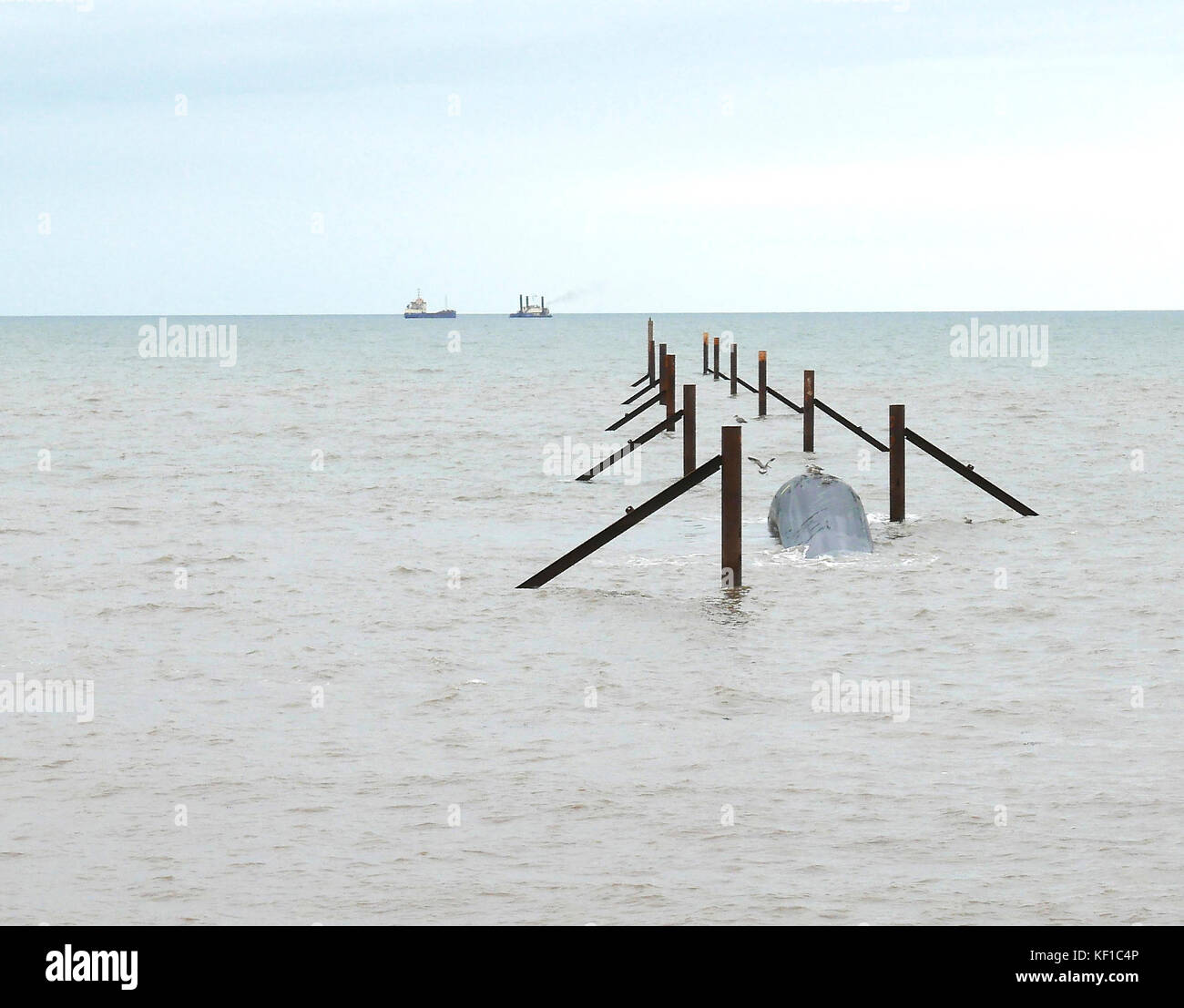 Under sea pipeline hi-res stock photography and images - Alamy