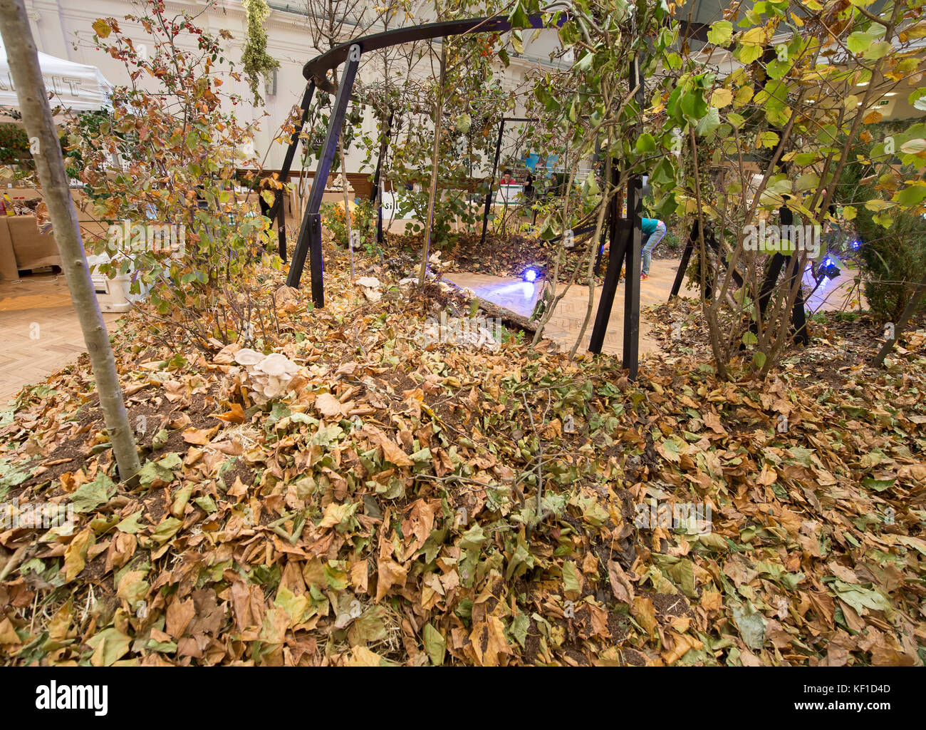 RHS Halls, London, UK. 25 October, 2017. To mark the arrival of the ...